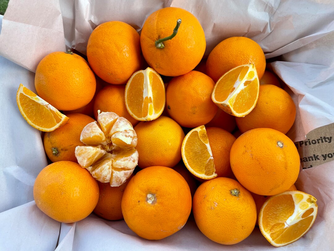 Organic Naval Orange Fruit Box, Hand Picked California Grown, Fresh ...