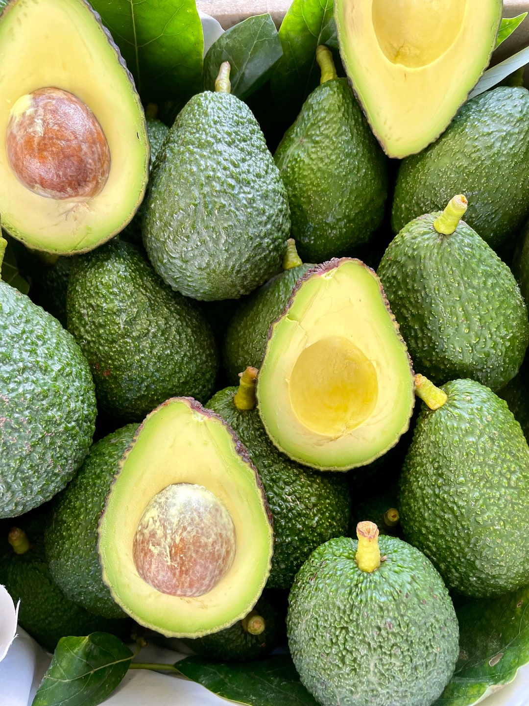 Bulk Organic Hass Avocados (15 Lb), California Locally Grown, Hand ...
