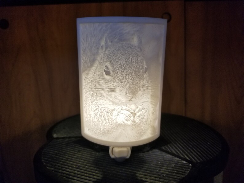 Squirrel 3D Printed Night Light extreme Detail - Etsy