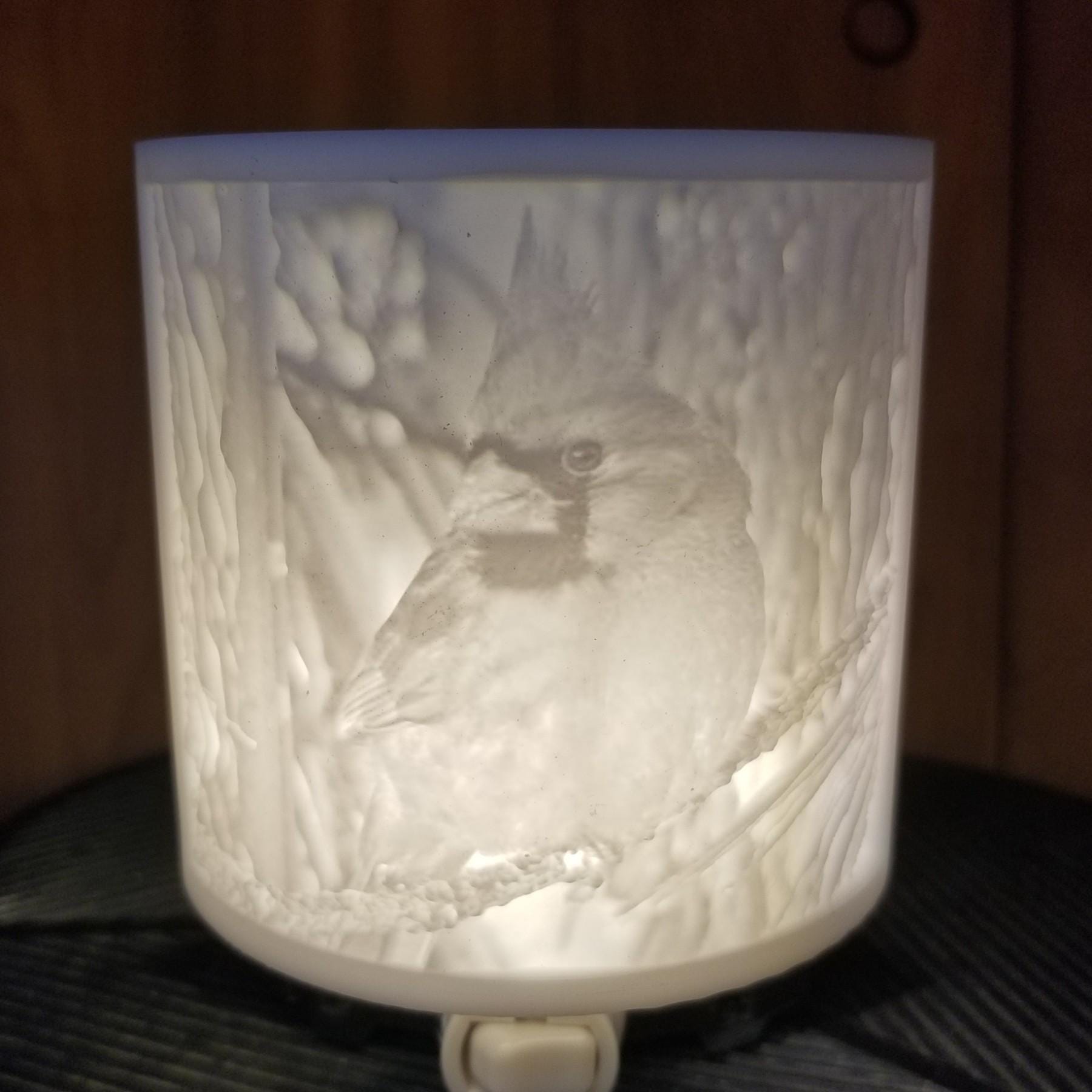 Cardinal 3D Printed Night Light ***extreme Detail*** - Etsy