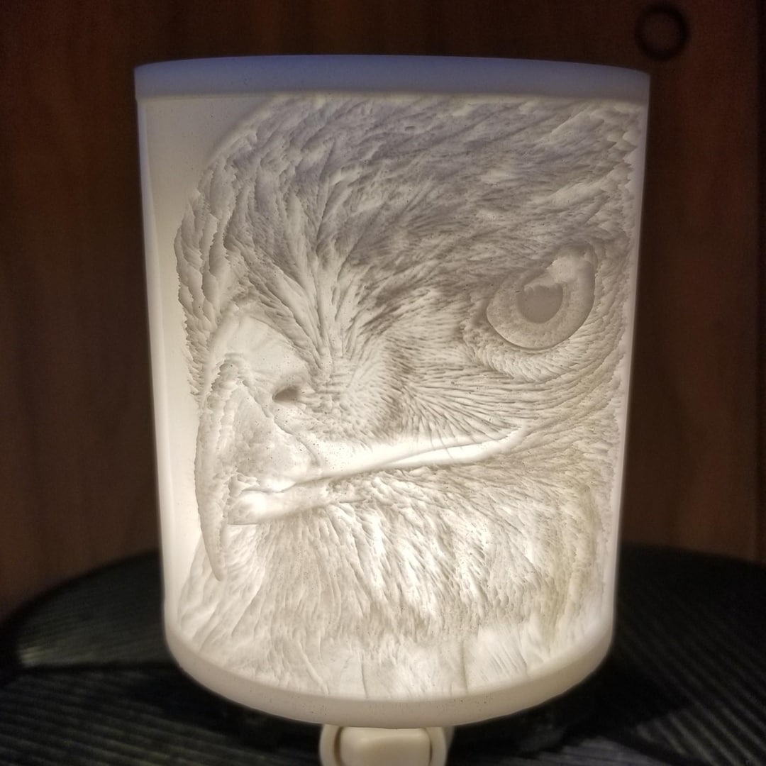 Red Tailed Hawk 3D Printed Night Light ***extreme Detail*** - Etsy
