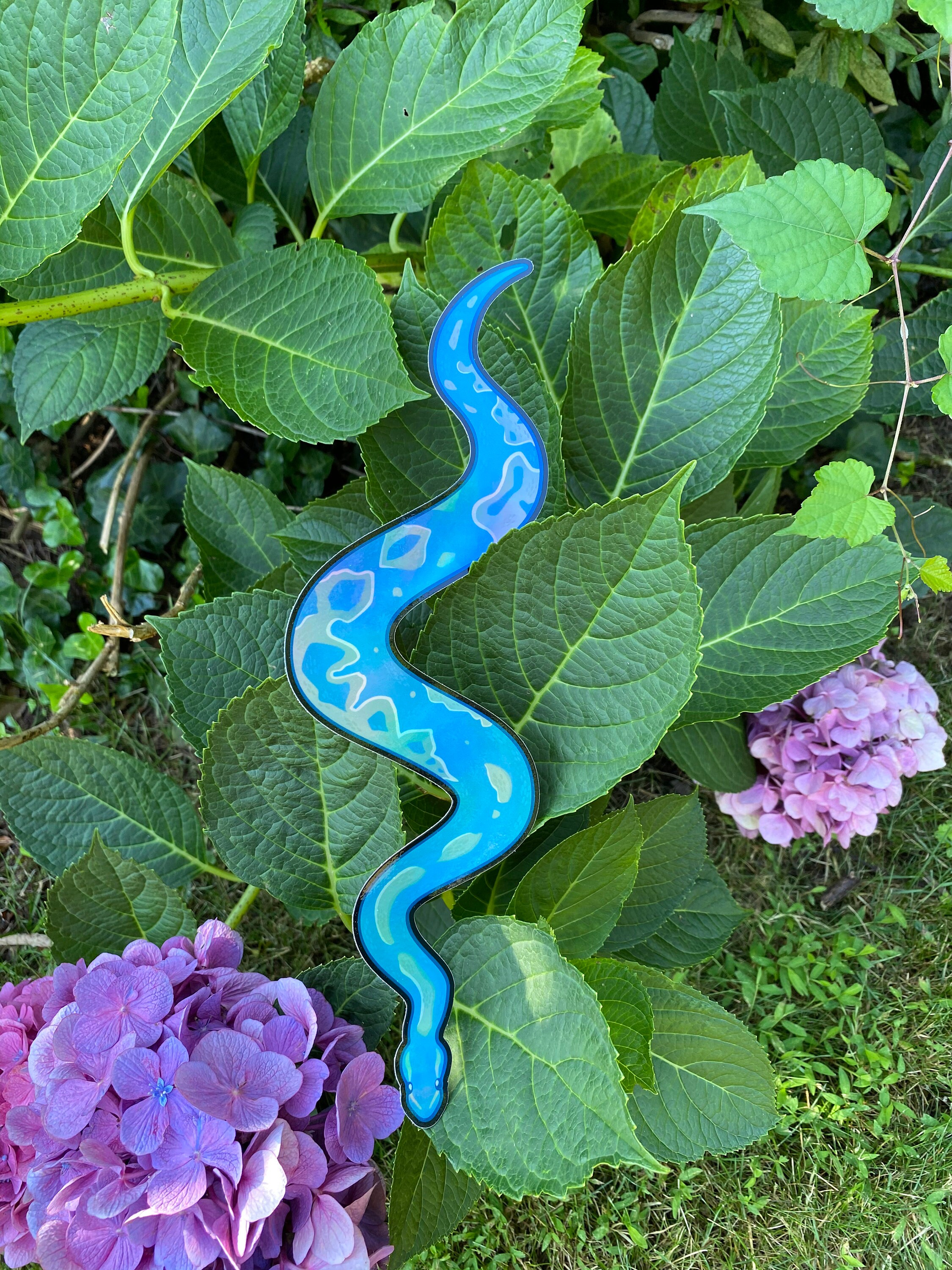 Rare Blue Snakes