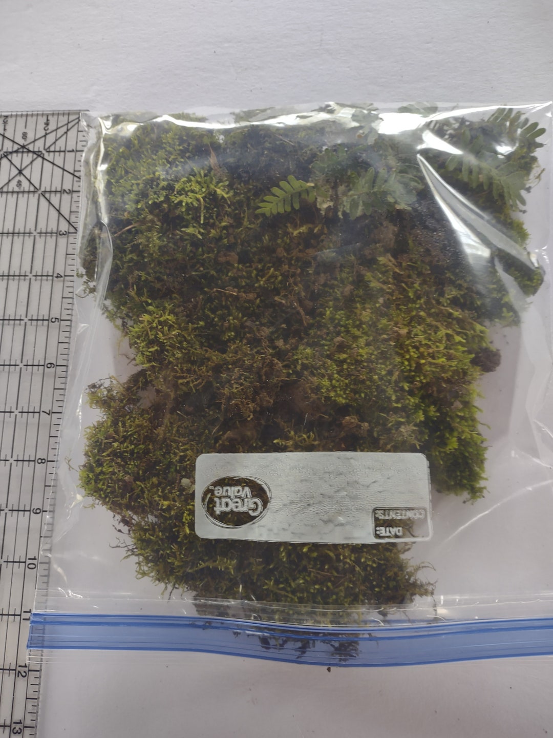 Two Moss 1 Gallon Bag - Etsy