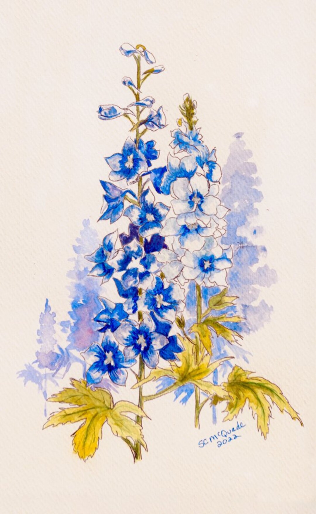 Delphiniums Canvas Print - Etsy