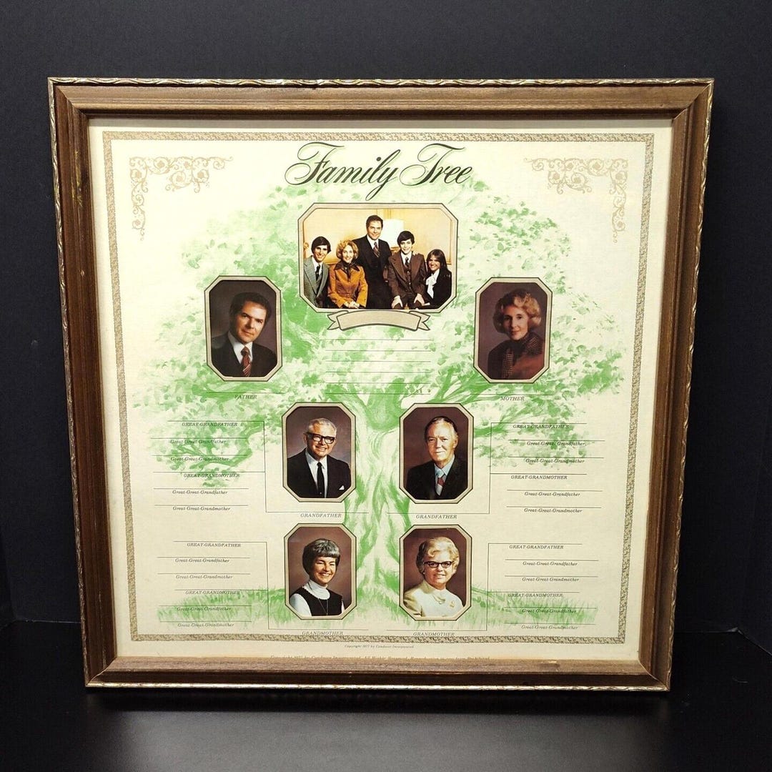 Vintage Family Tree Photo Frame & Genealogy Tracker, 1977, 17.5 X 17.5 ...