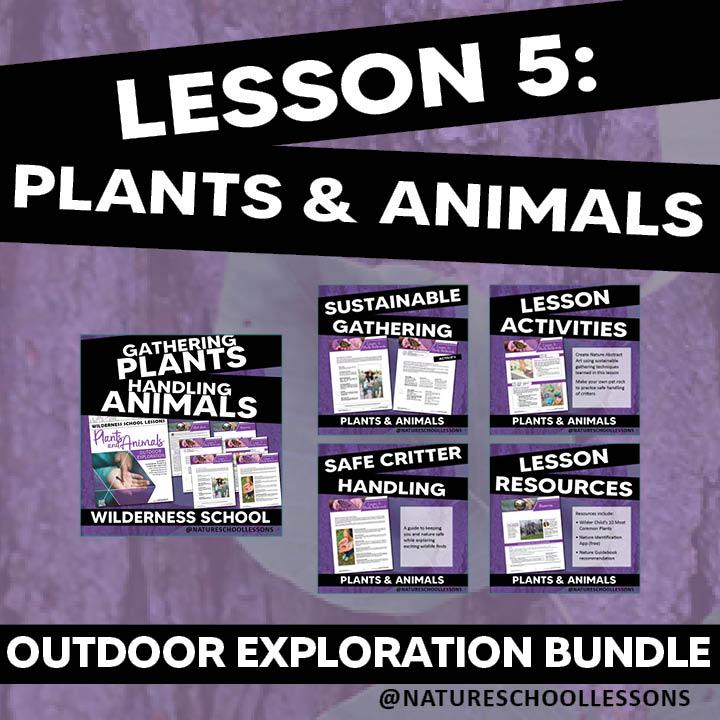 Ultimate Outdoor Exploration Bundle - Education Nature Outdoors Forest ...