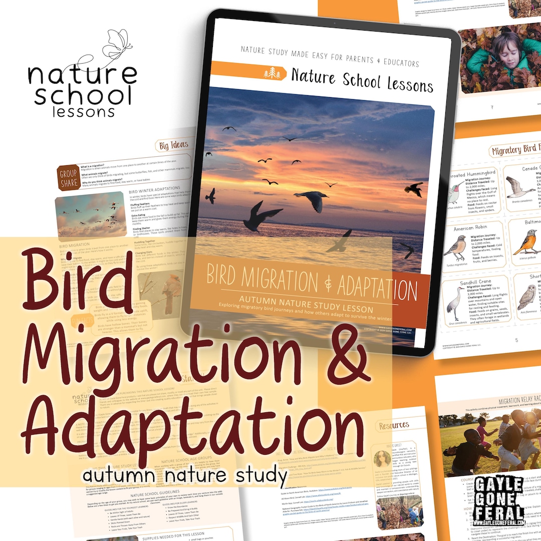 Bird Migration Winter Adaptations Autumn Nature Study Nature School ...