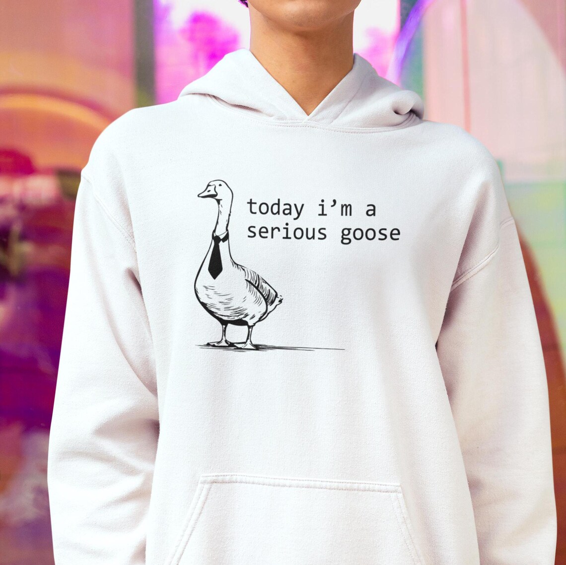 Today I'm A Serious Goose Png Svg Jpg Eps, Funny Goose Png Svg Jpg Eps ...
