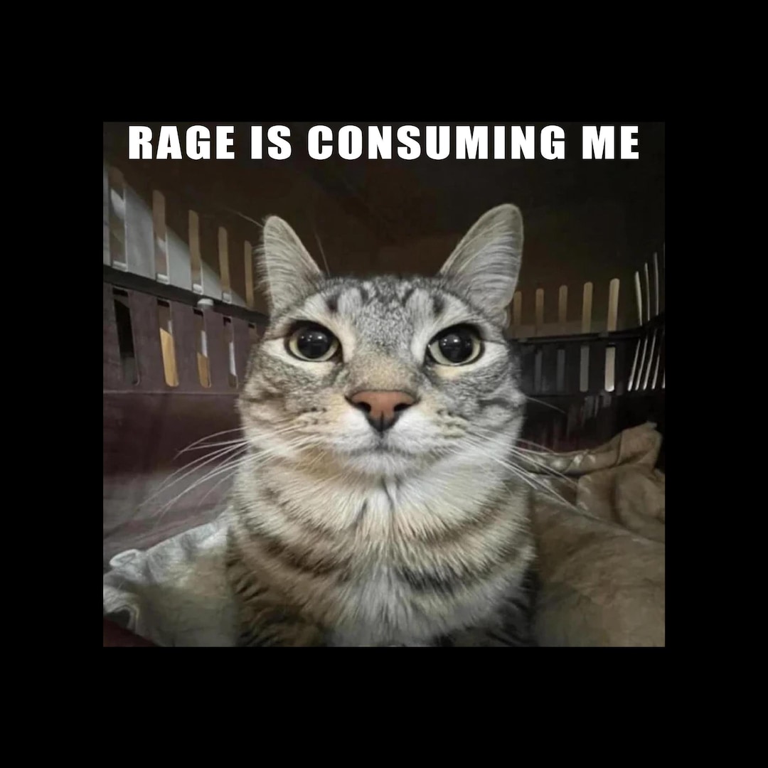 Rage is Consuming Me Cat Meme Digital Print, Rage is Consuming Me ...