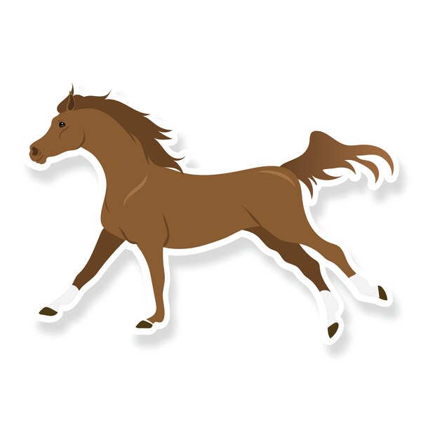 Arabian Horse Sticker - Etsy