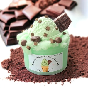 Mint Chocolate Chip Ice Cream Slime Green Clay Icee - Etsy