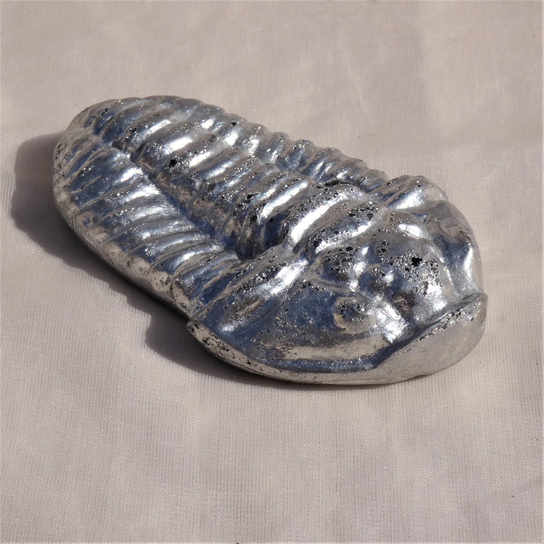 Handmade Cast Tin Metal Trilobite Paperweight/ Figurine - Etsy