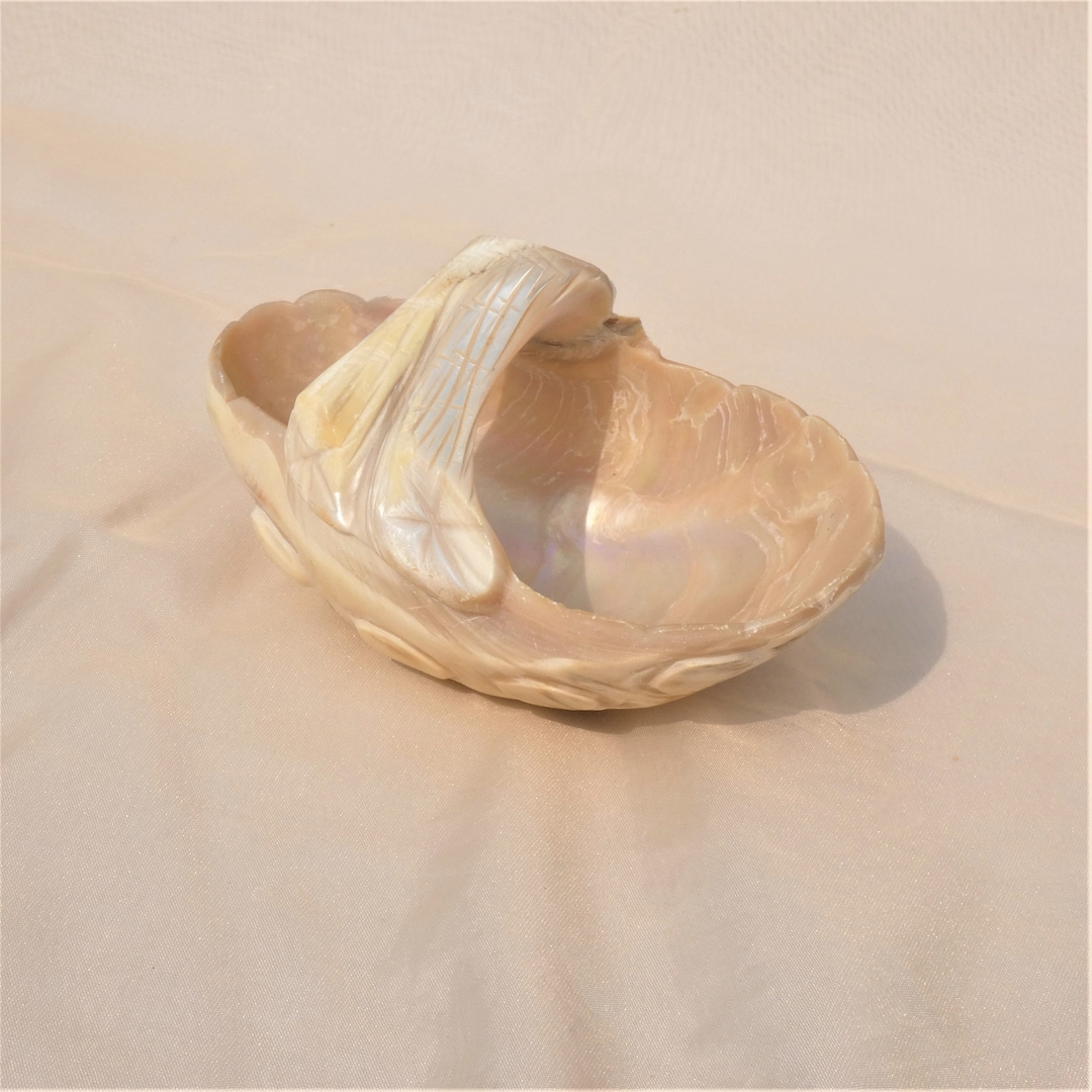 Carved Sea Shell Dish With Handle Vintage - Etsy