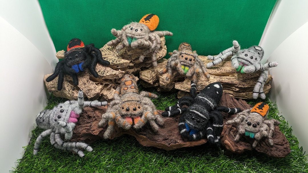 Cute Jumping Spider, Needle Felted, Spooder, Personalised Jumping ...