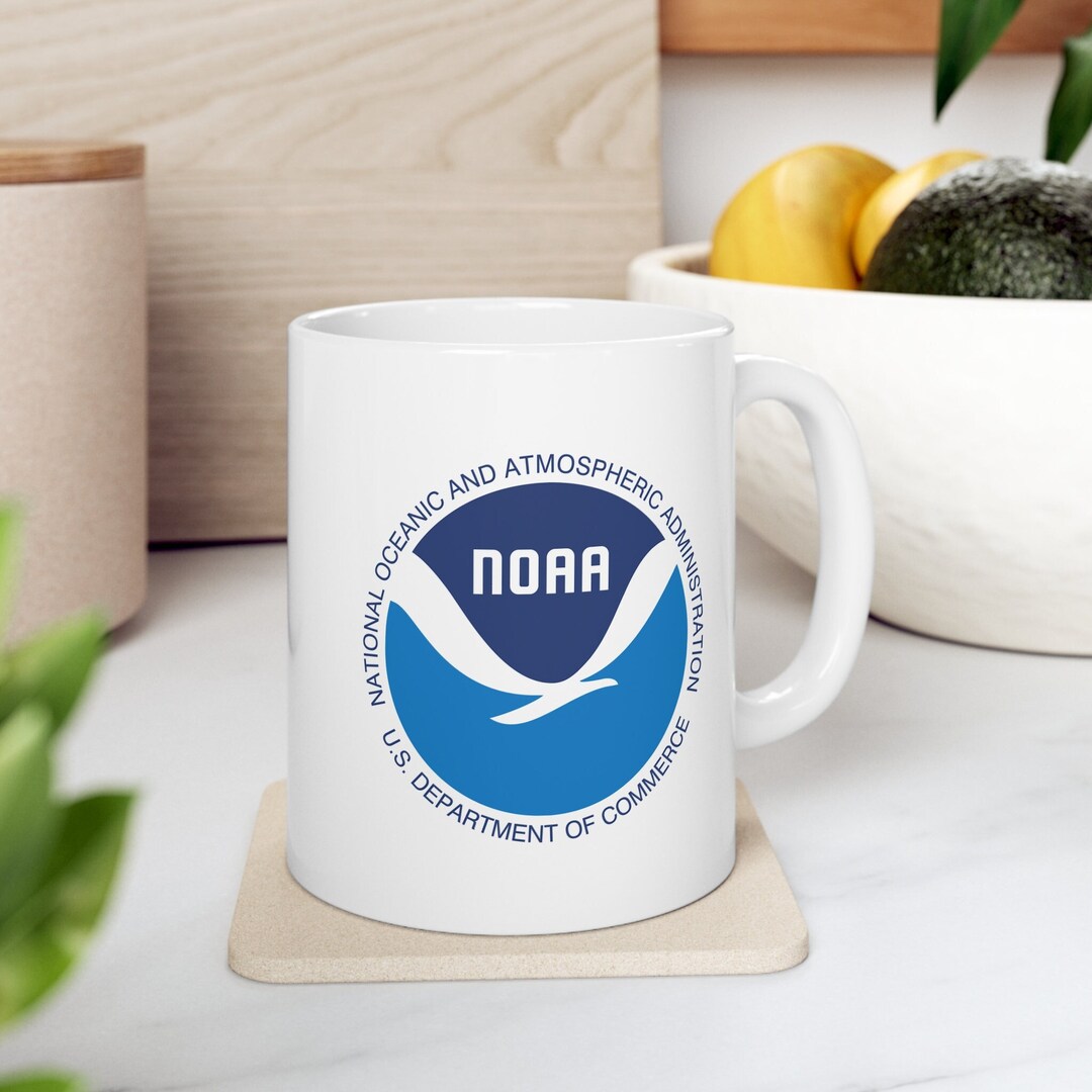 Weather Mug, Storm Chaser and Meteorologist Mug, Gift for Weather ...