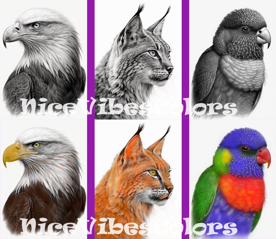 Realistic Animals: Grayscale Coloring Book for Adults and Children ...