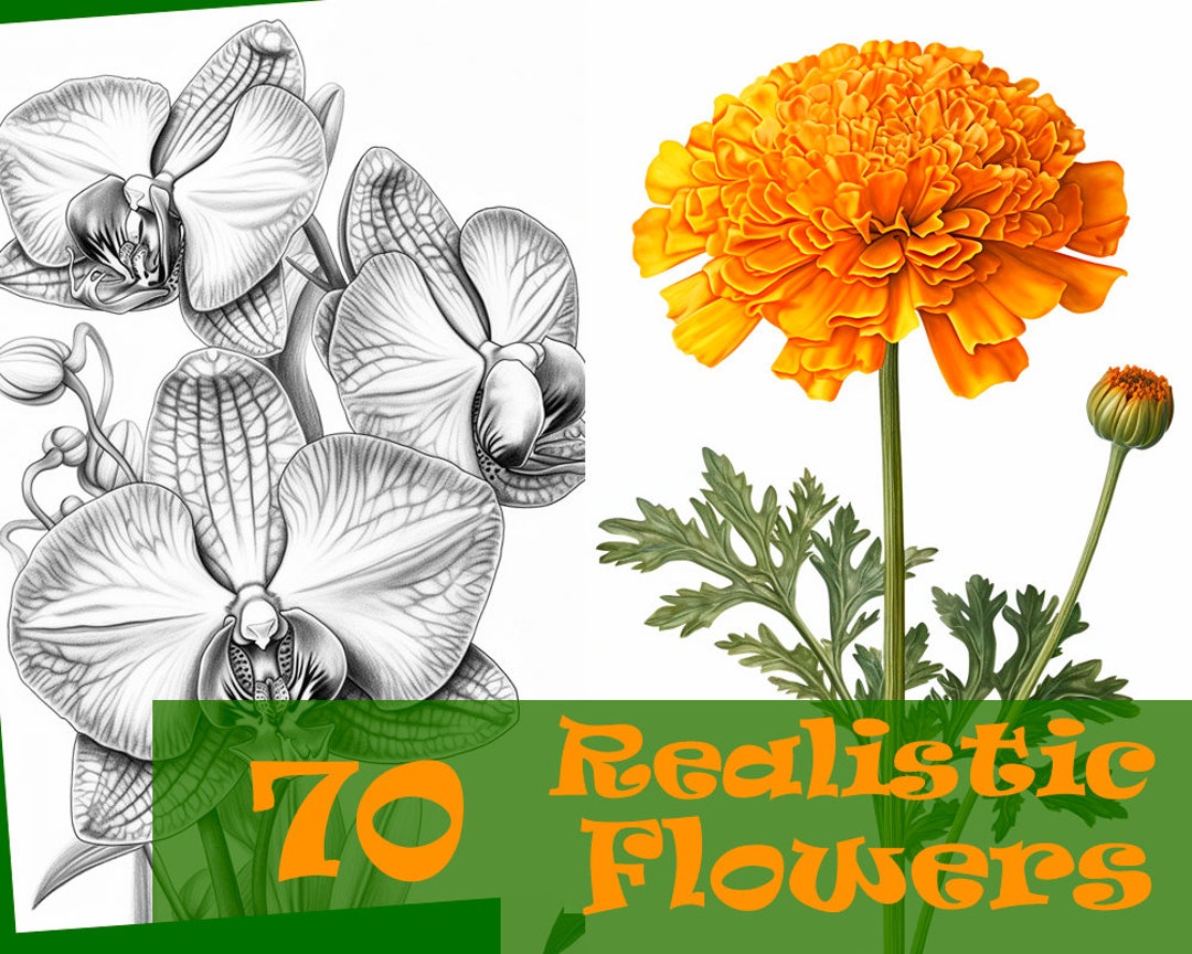 Realistic Flowers: Grayscale Coloring Book for Adults and Children ...