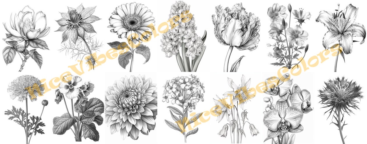 Realistic Flowers: Grayscale Coloring Book for Adults and Children ...