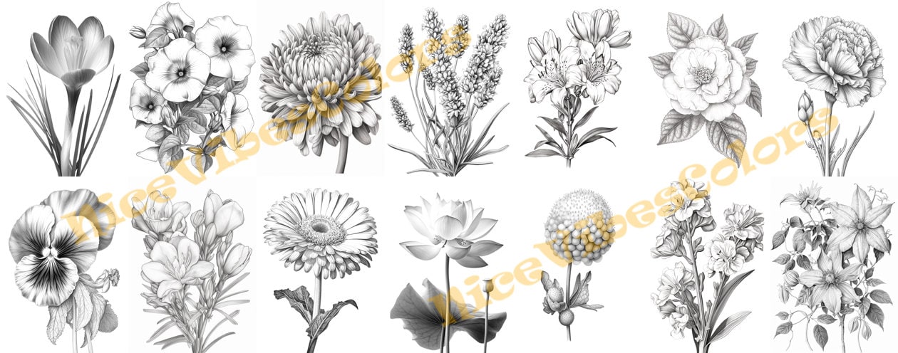 Realistic Flowers: Grayscale Coloring Book for Adults and Children ...