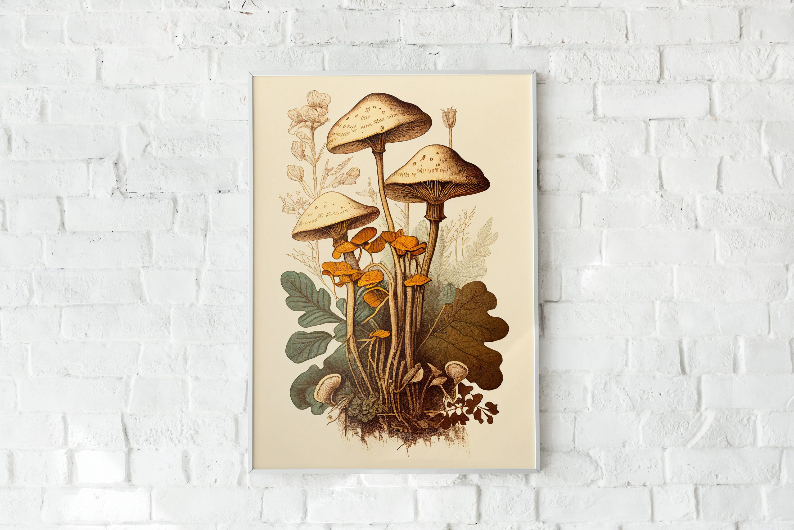 Vintage Toadstools - Etsy