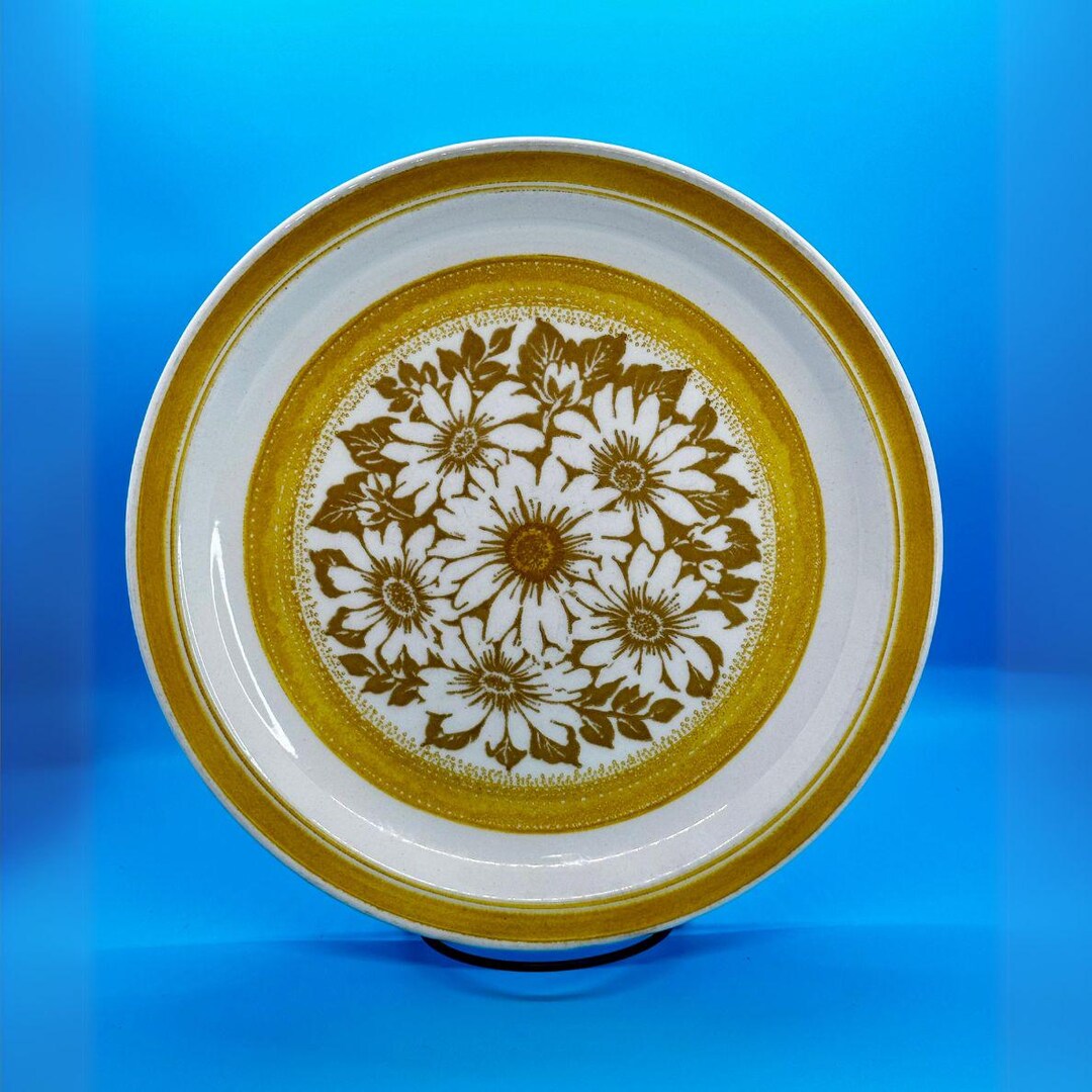 Set of 6 Vintage 1970s Jamestown Plates Retro Stoneware Boho ...