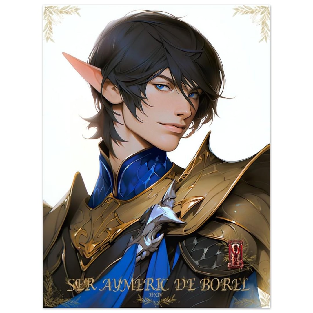 Ser Aymeric De Borel FFXIV by Azikun - Etsy
