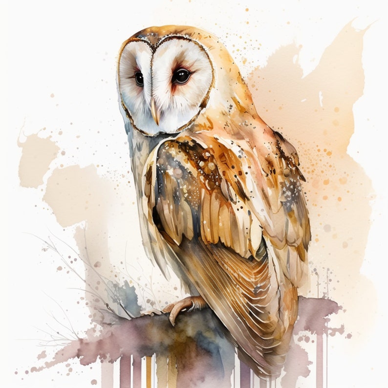 Watercolor Barn Owl Looking Over Shoulder-watercolor Digital Print of A ...