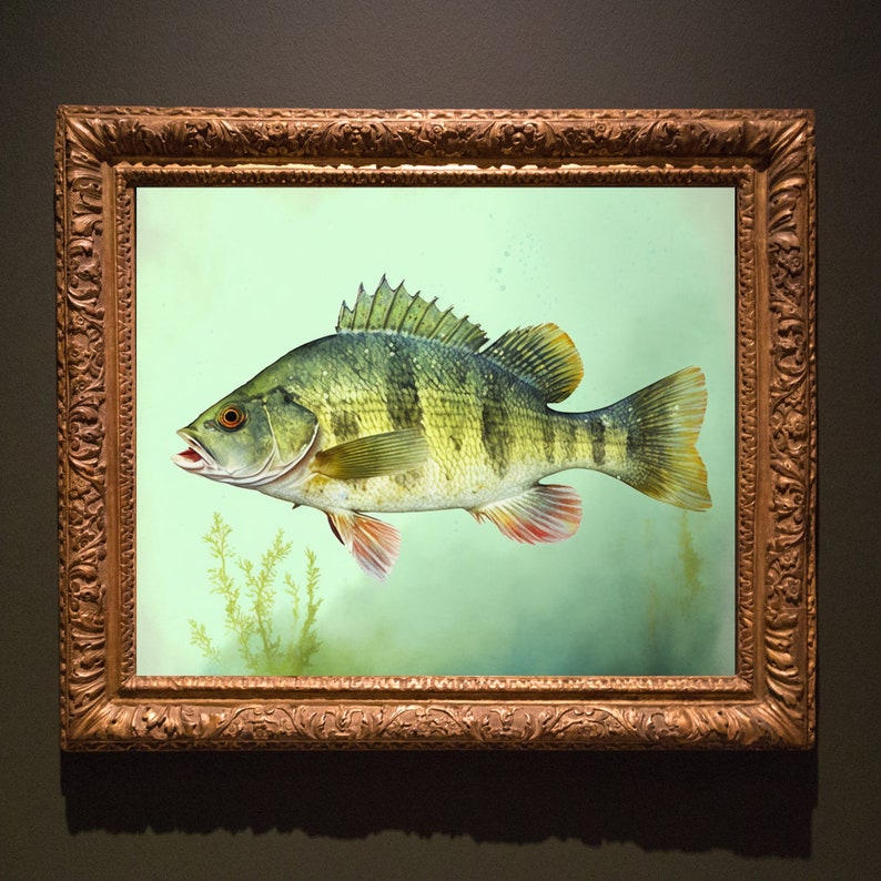 Perch- Watercolor Protrate of A Perch in the Lake - Etsy