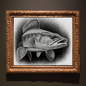 Pencil Drawing of A Walleye-digital Print of a Walleye Fish - Etsy