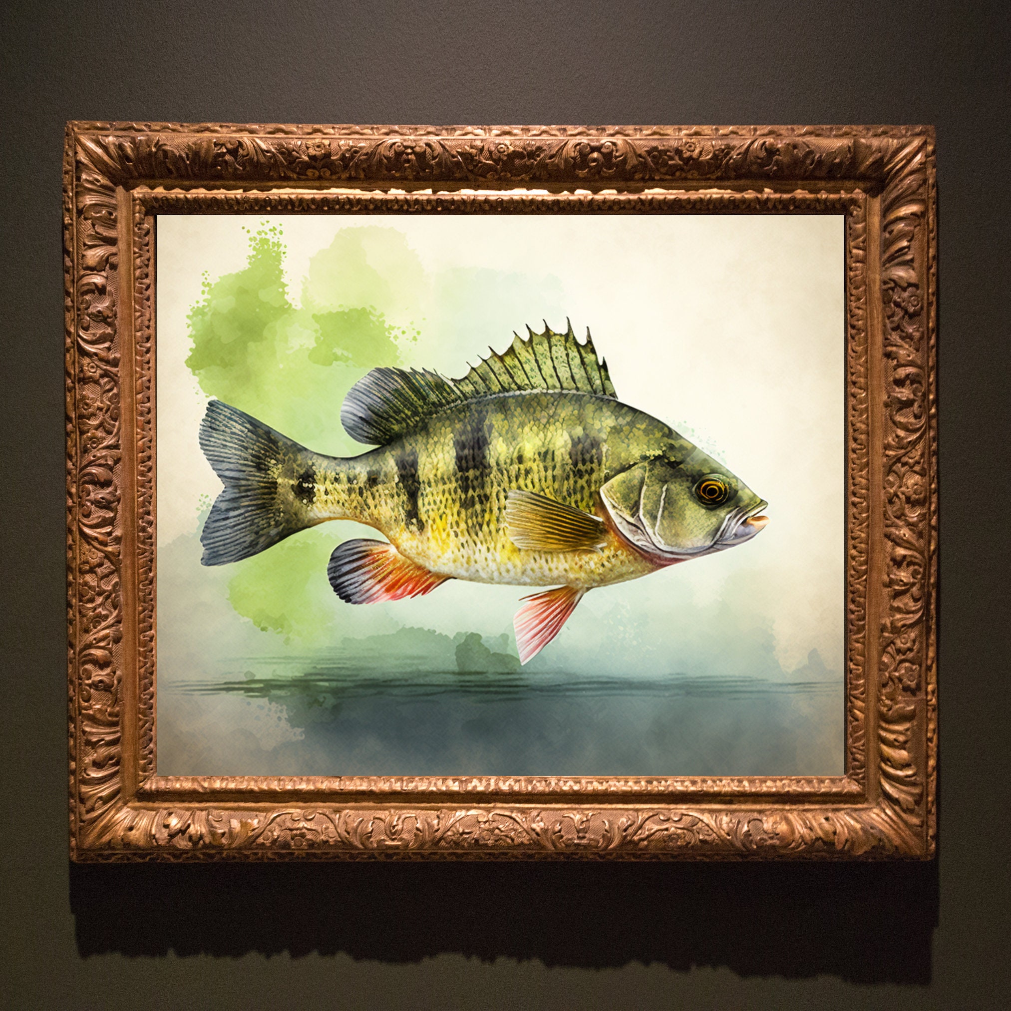 Perch- Perch Swimming in the Lake - Etsy