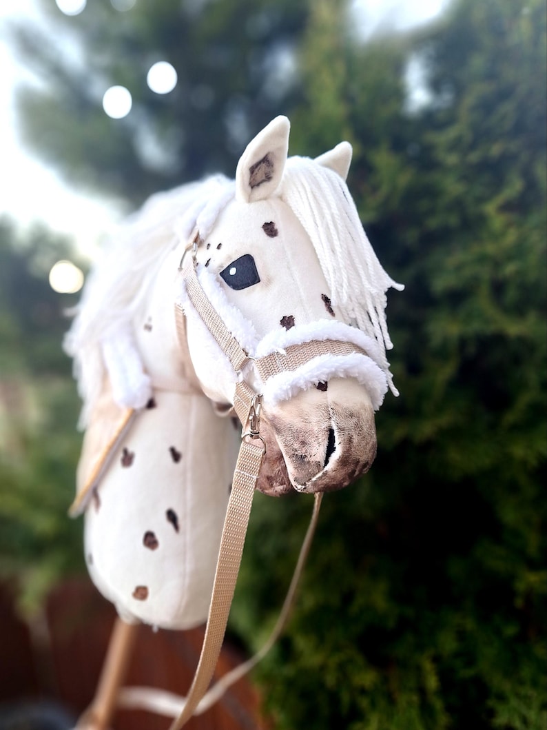 Hobby Horse A3 -tarant-halter-reins-stall-rug - Etsy Australia