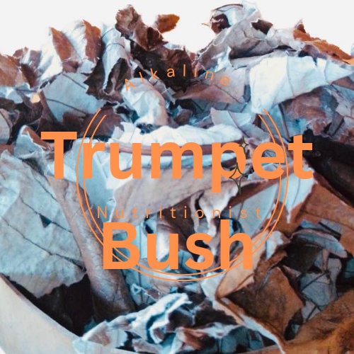 Organic Trumpet Leaf | Premium Quality Dried Cecropia Peltata Leaves ...