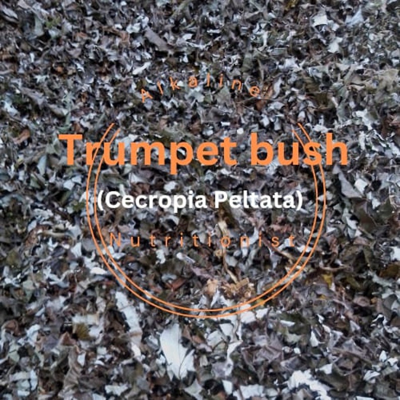 Organic Trumpet Leaf Premium Quality Dried Cecropia Peltata Leaves for ...