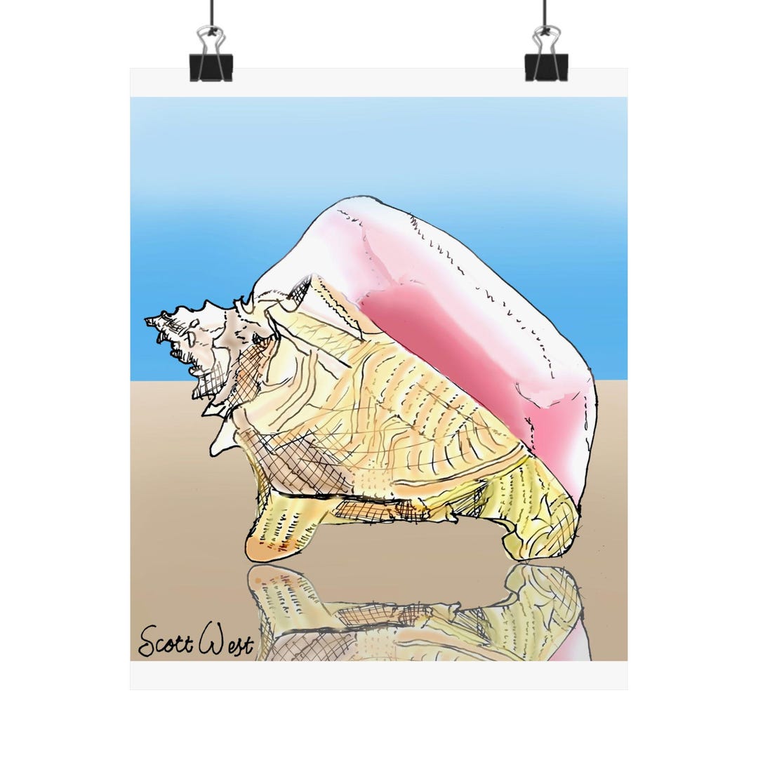 Conch Poster, Conch Wall Art, Conch Art Print, Shell Lover Gift ...