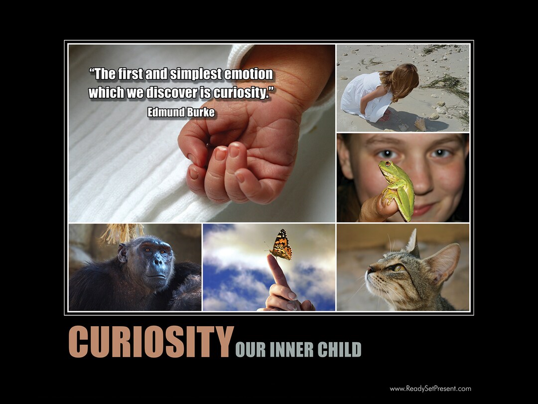 Curiosity, Curious, Poster, Office Wall Art, Office Decor, Management ...
