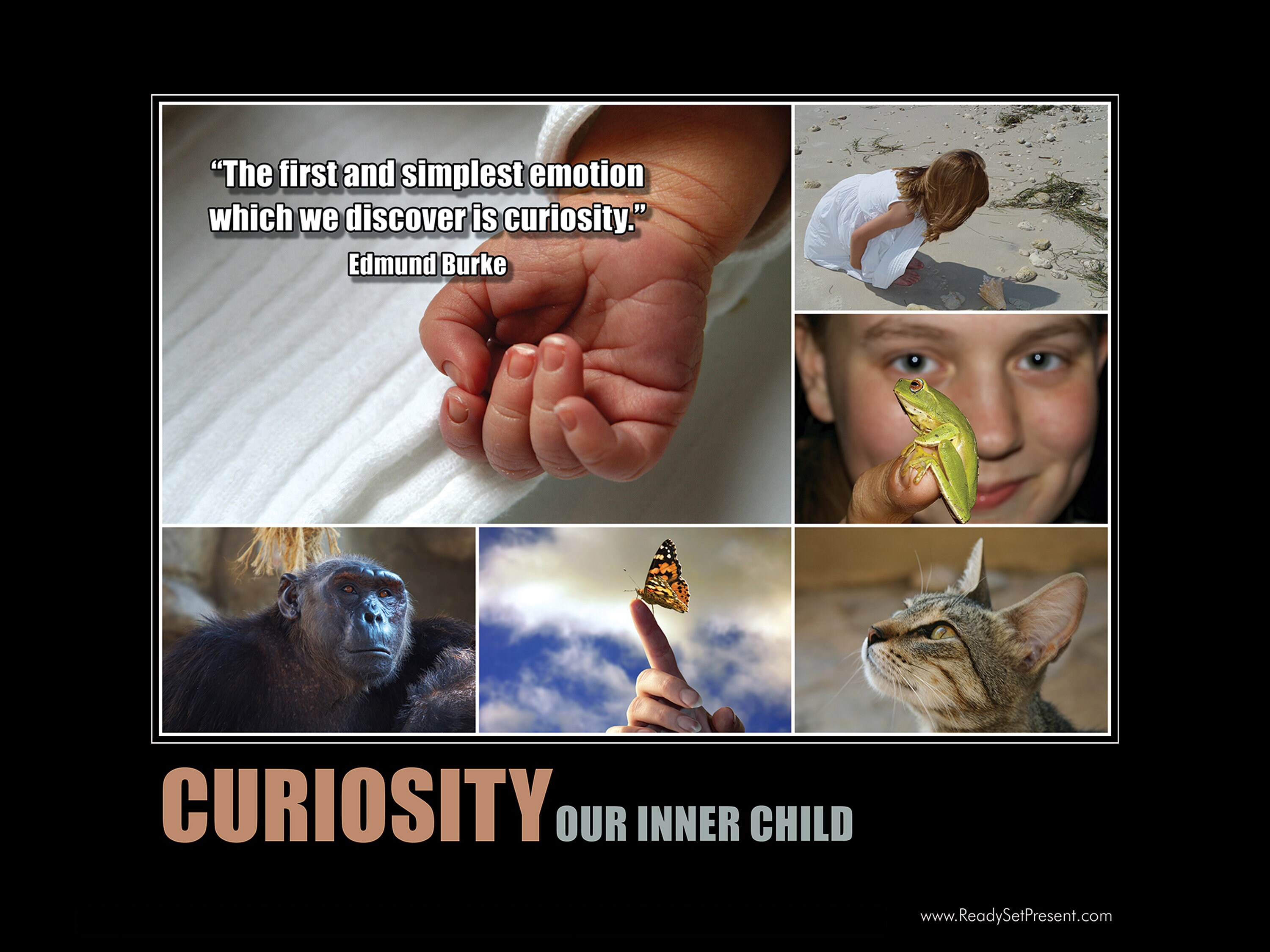 Curiosity, Curious, Poster, Office Wall Art, Office Decor, Management ...
