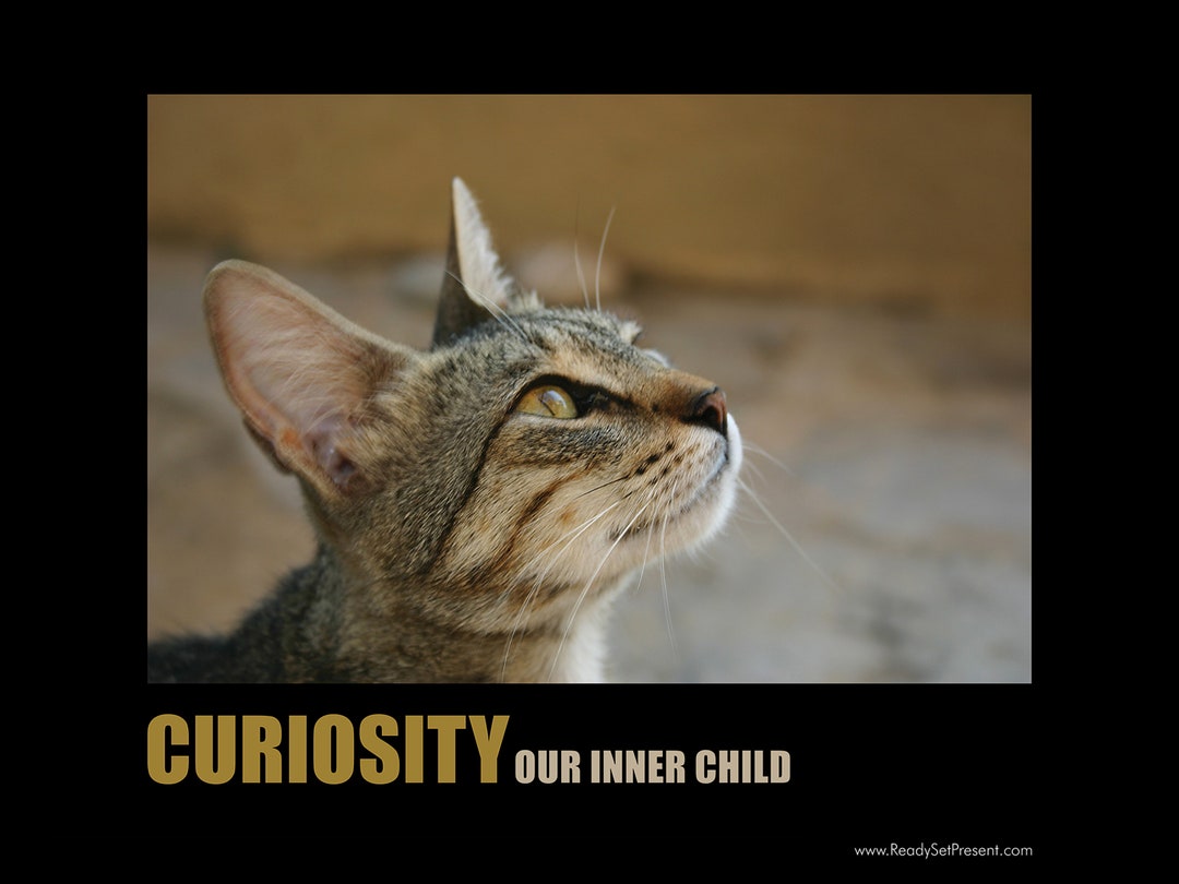 Curiosity Poster for Wall Art - Etsy