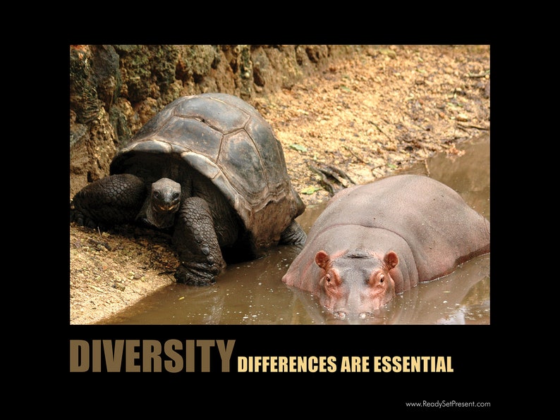 Diversity, Poster, Office Wall Art, Office Decor, Management ...