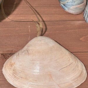 Decoupage Sand Dollar Clam Shell Ornament - Etsy