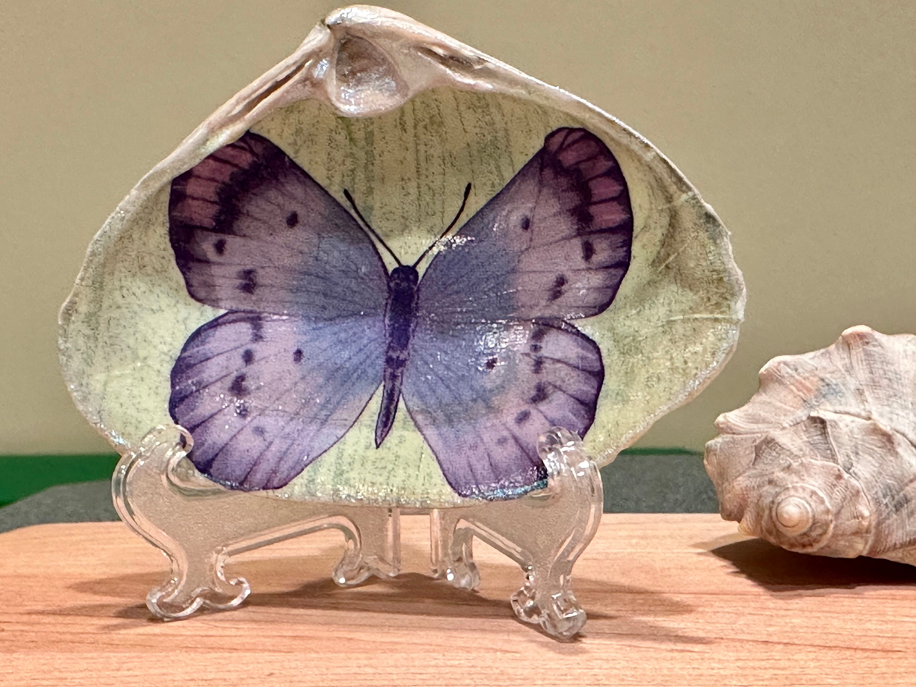 Purple Butterfly Decoupage Clam Shell - Etsy
