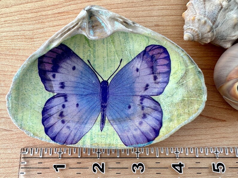 Purple Butterfly Decoupage Clam Shell - Etsy