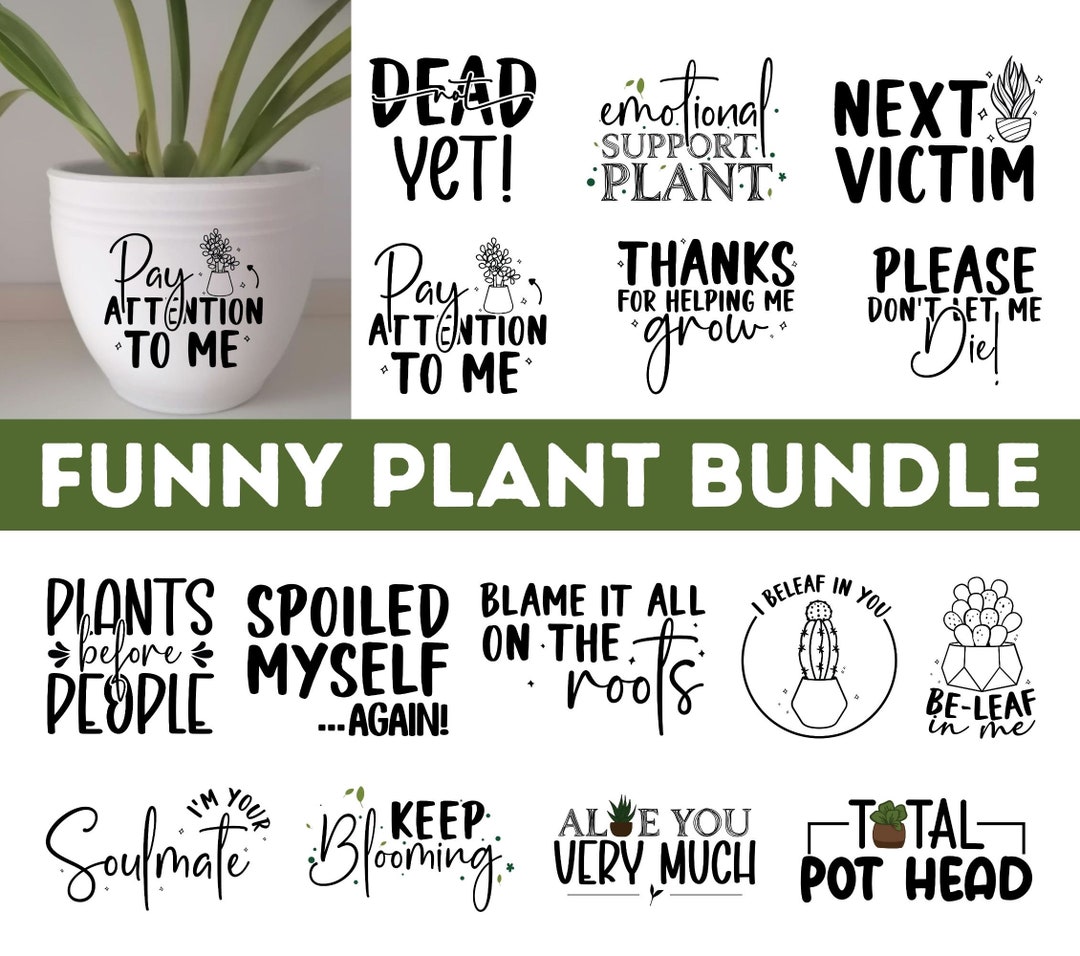 Funny Plant SVG Bundle| Planter Quote Bundle| Plant Lover SVG ...
