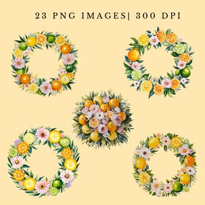 Floral and Citrus Clipart Orange Flowers Lemon PNG Watercolor Summer ...