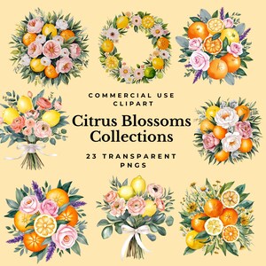 Floral and Citrus Clipart Orange Flowers Lemon PNG Watercolor Summer ...