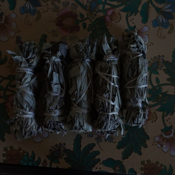 Sage Bundle - Etsy