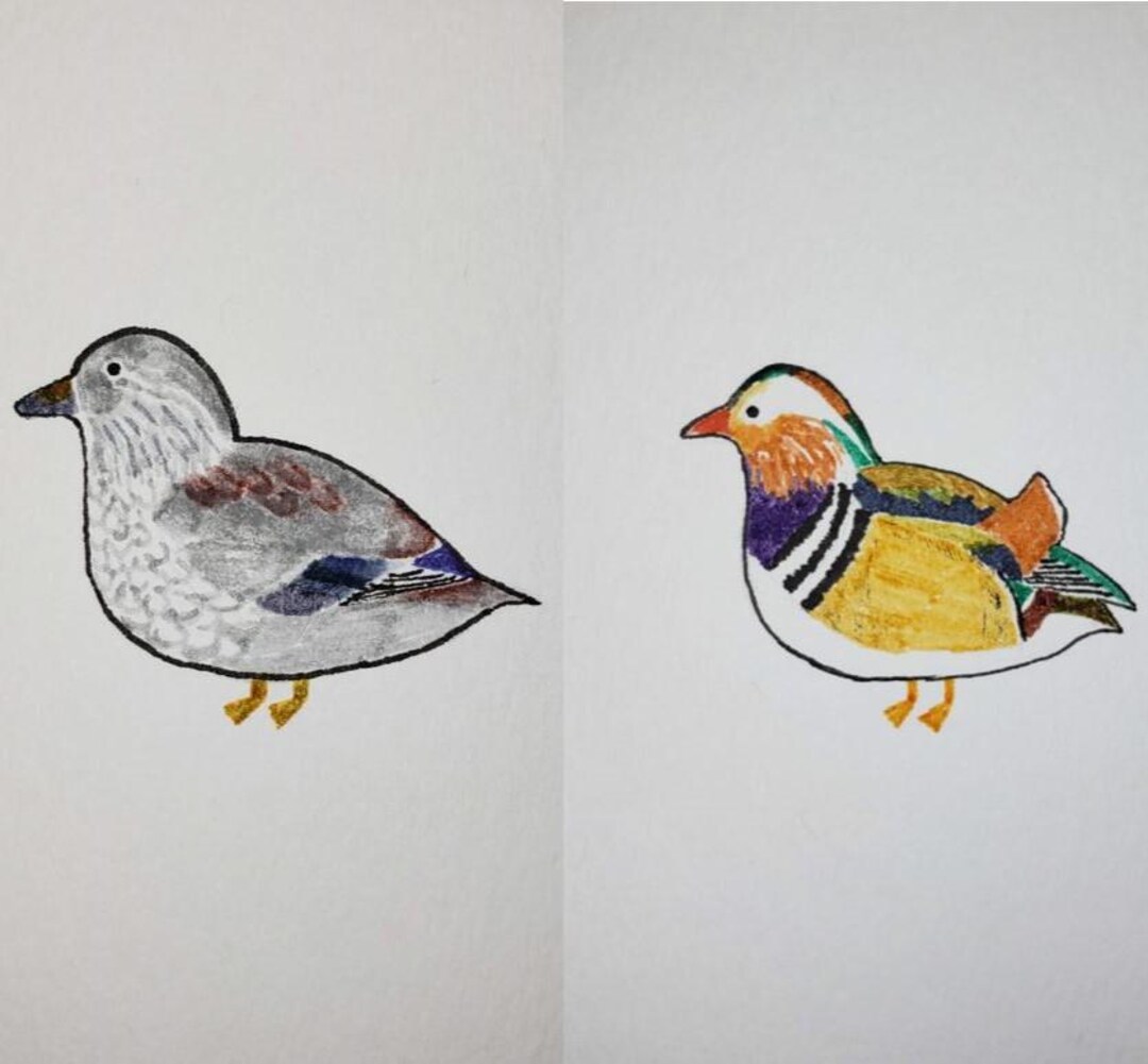 Borb No. 307 - Mandarin Duck Pair - Etsy