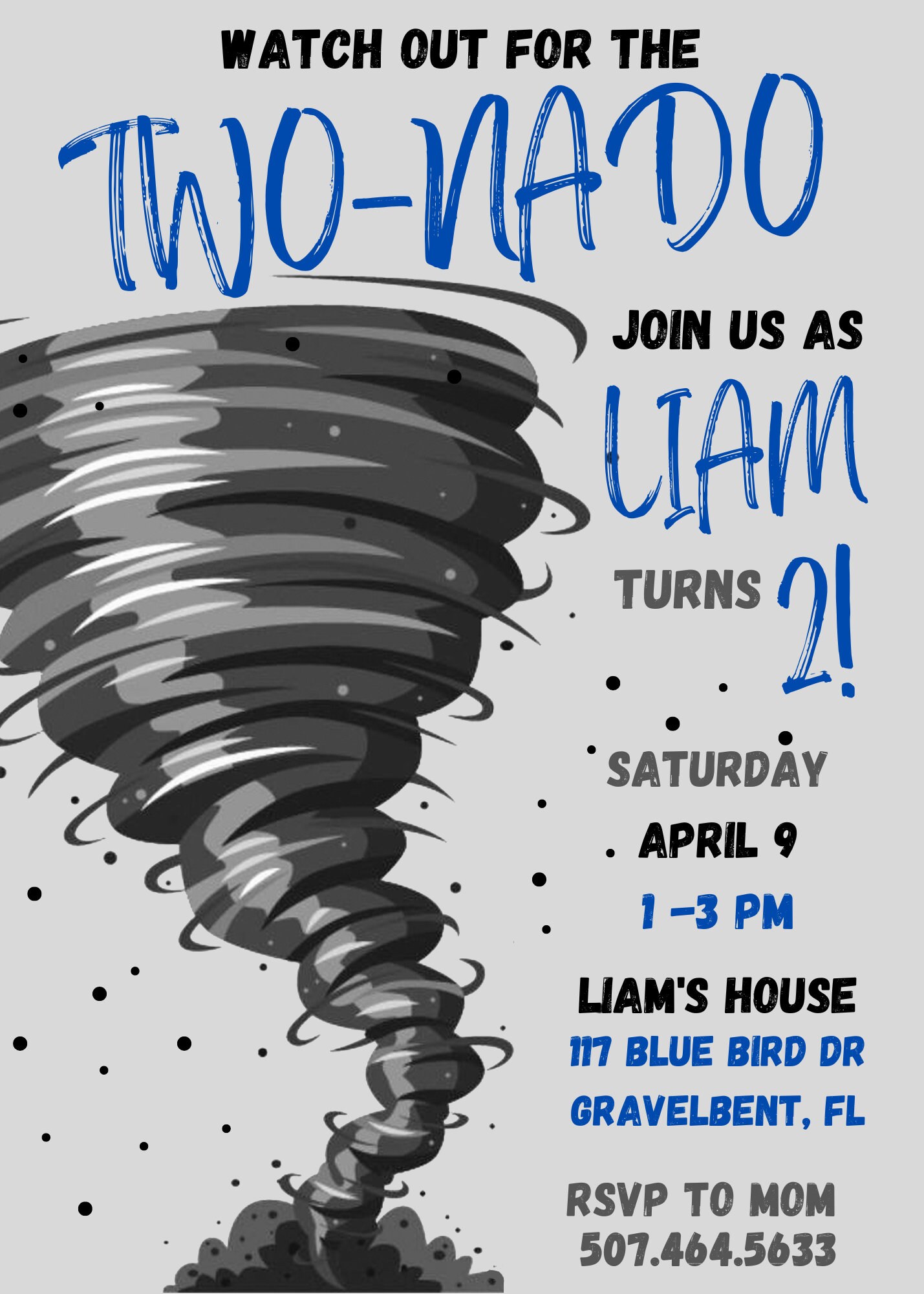 Two-nado Second Birthday Invitation, INSTANT DOWNLOAD, Tornado Second ...