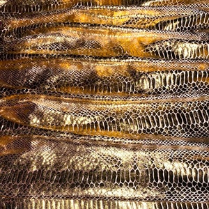 Gold 60" Wide Faux Cobra Snake Iridescent Foil Design on Stretch ...