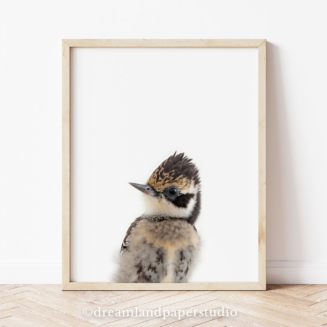 Baby Woodpecker Nursery Decor, Neutral Color Wall Art, VISUAL ...