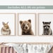 Cute Baby Animals, Set of 6 Woodland Creatures Prints, Outdoor Nature ...